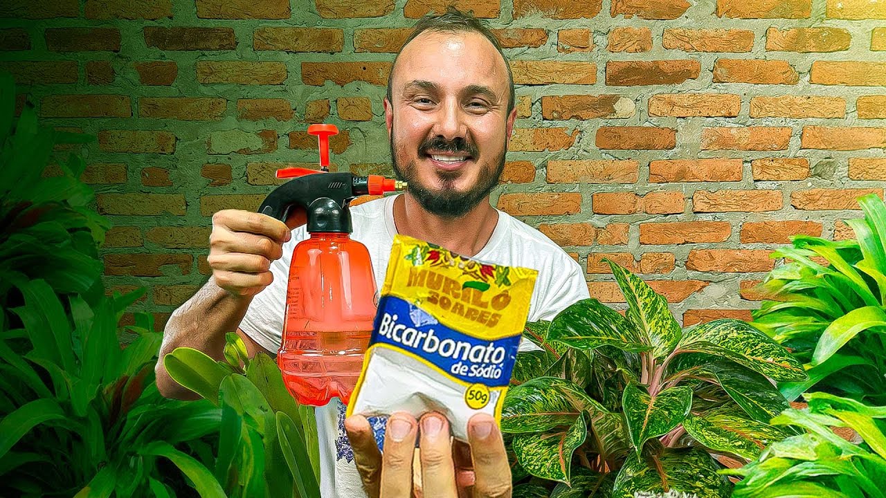 Bicarbonato nas Plantas? Veja como usar do jeito certo e tenha plantas livres das pragas ...